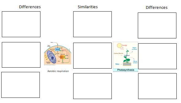 GUEST BLOG: Standing on the shoulders of giants, Biology Shed Loads Of ...